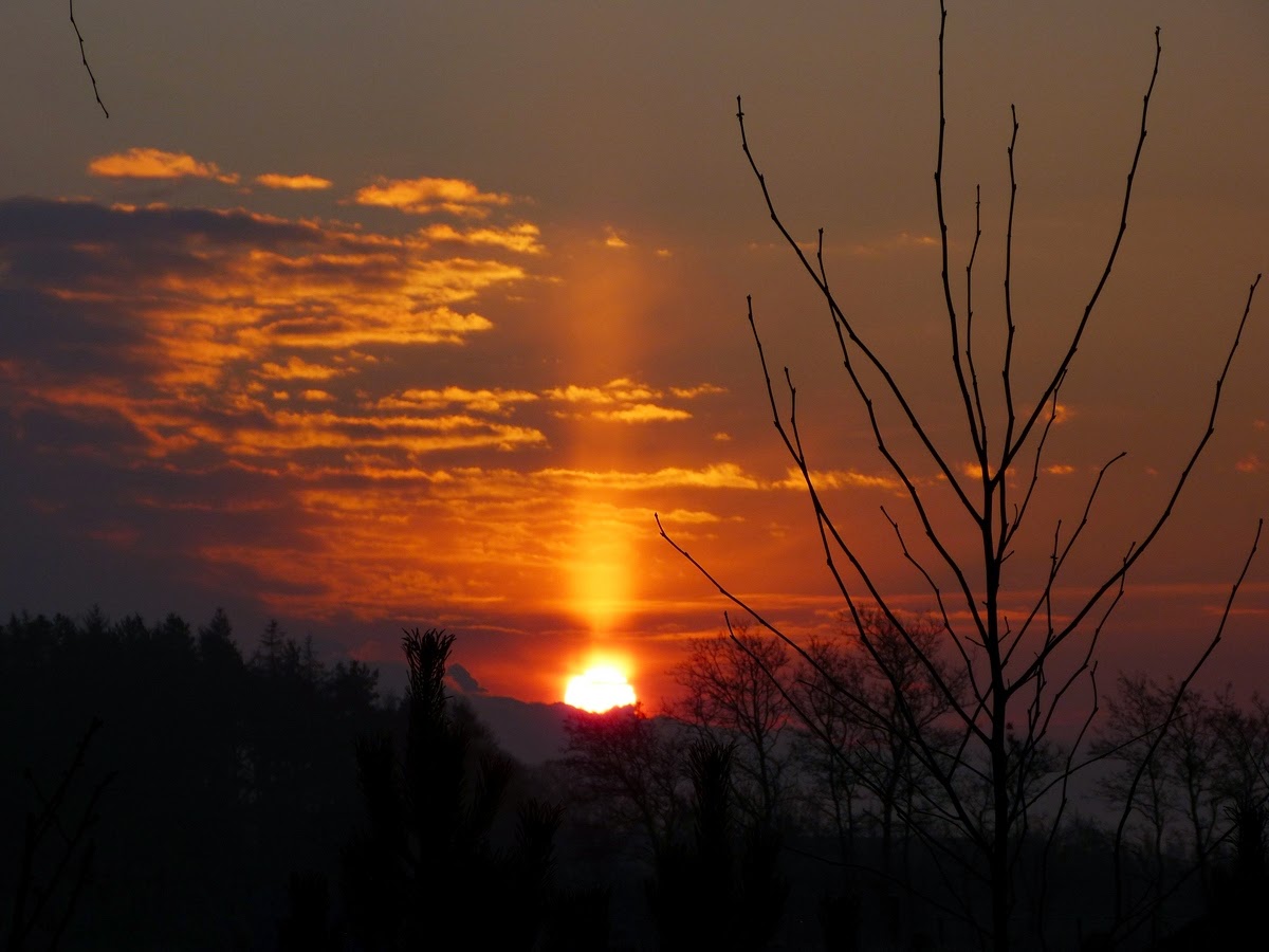 Høneballehaven på Samsø og Hellerupvej på Fyn: Solopgang og Acer m.m.
