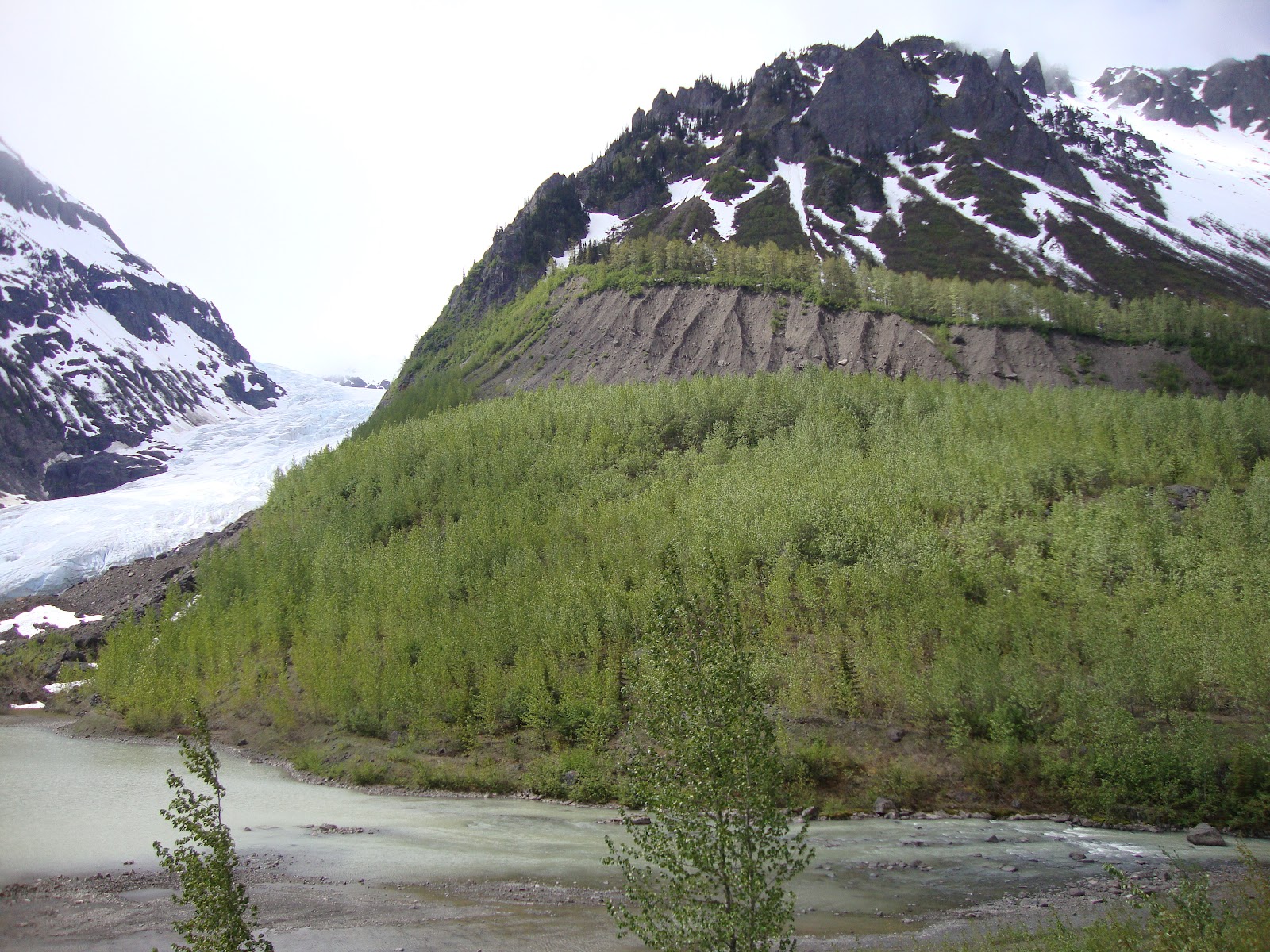 A Tangled Webb: Stewart BC and Hyder Alaska