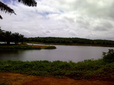 Kota Merauke ~ Bumi Nusantara