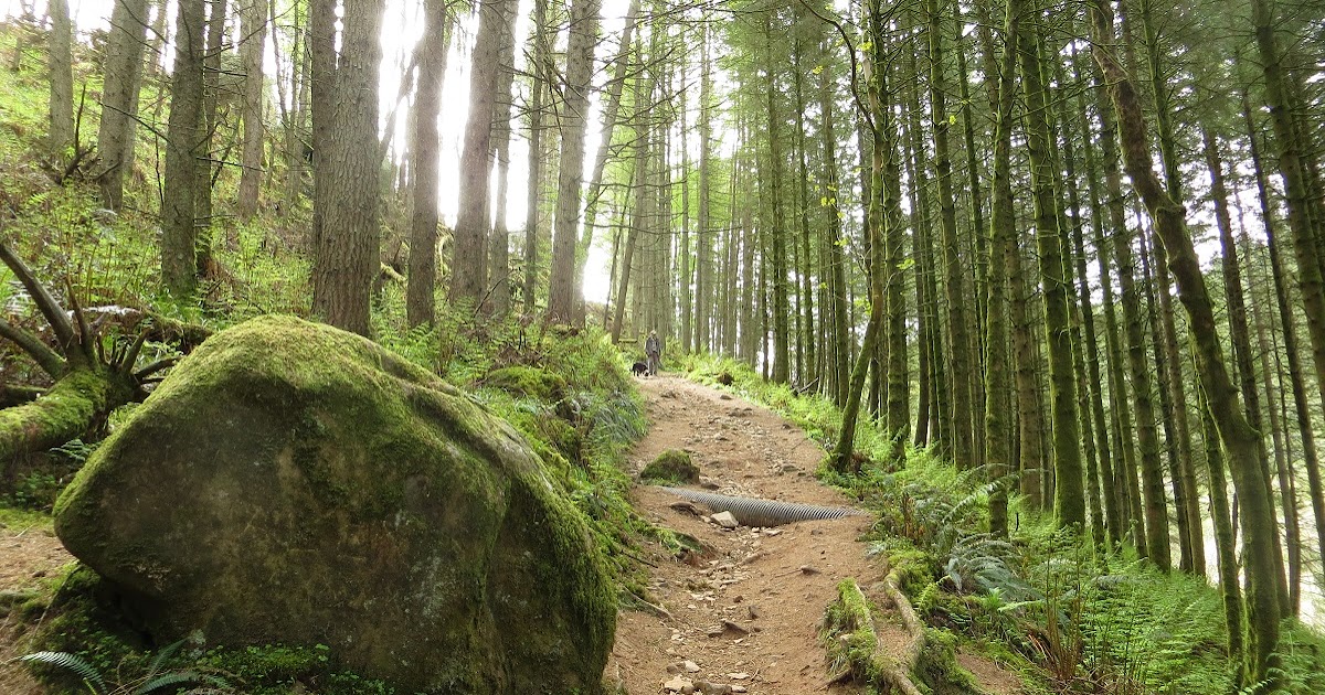 The Faery Folklorist: Fairy Folklore of the Isle of Arran