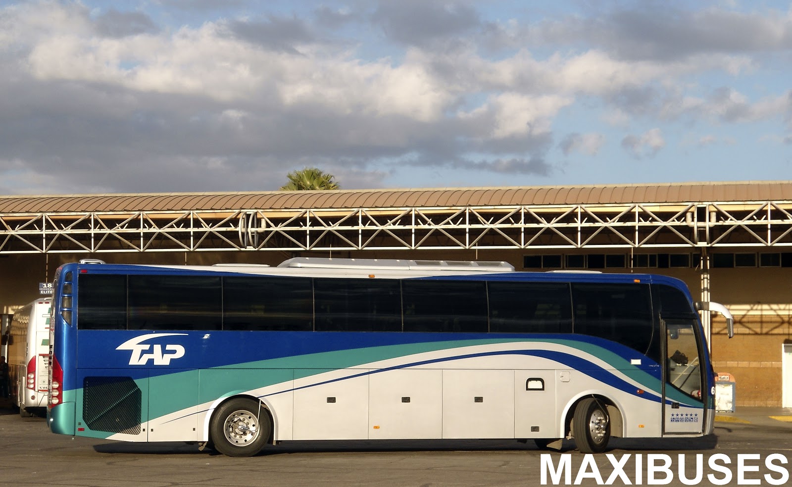 MAXIBUSES: TRANSPORTES Y AUTOBUSES DEL PACÍFICO (TAP)