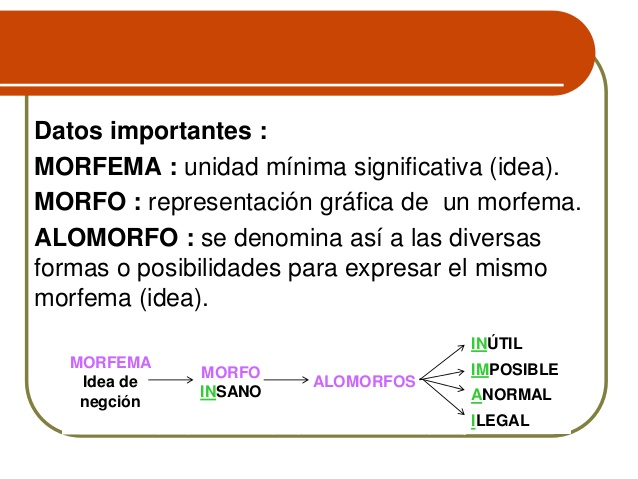 MORFO Y ALOMORFO.