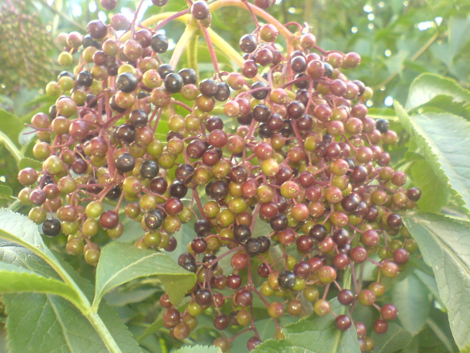 Socul | Preparatedevis.ro