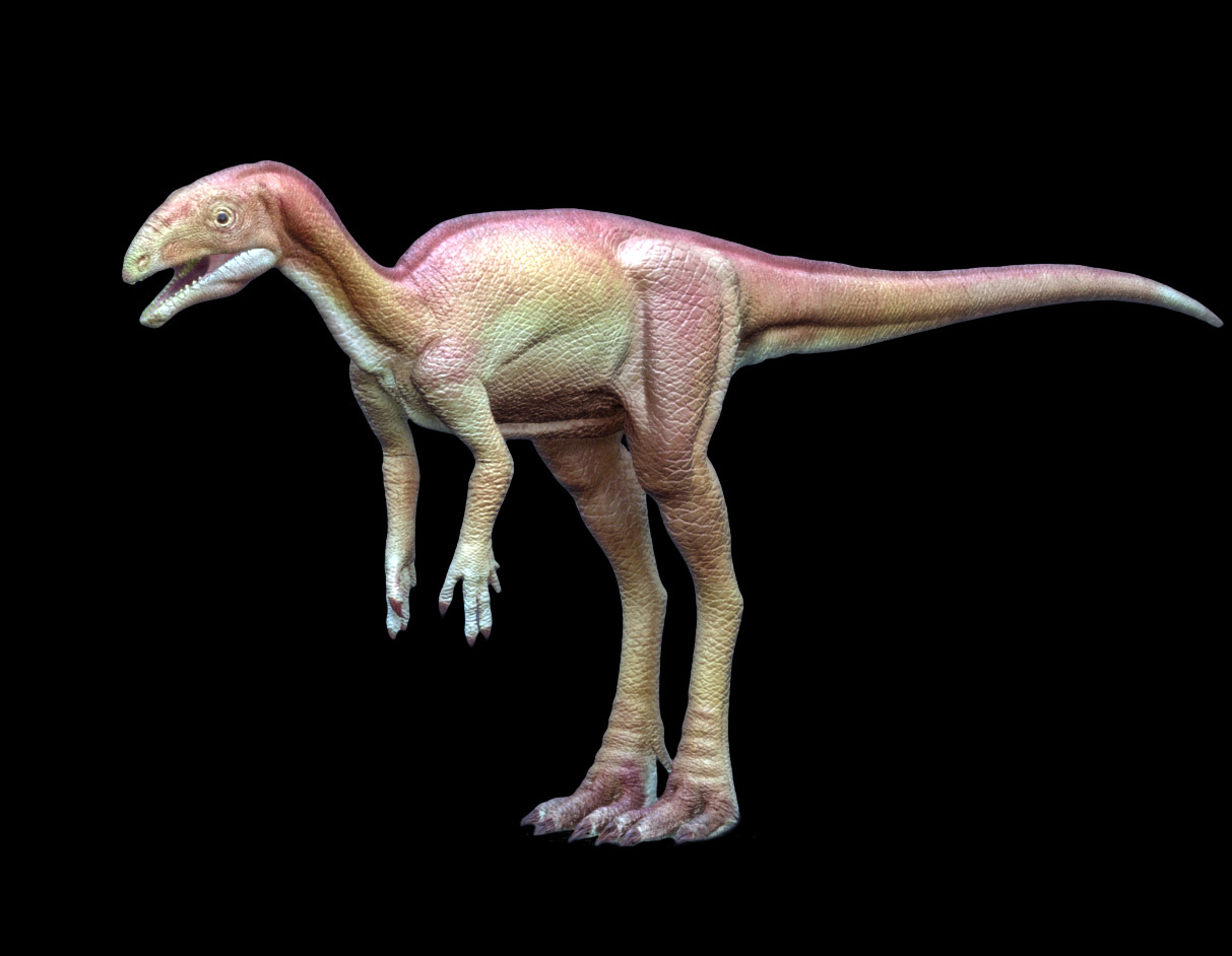 Redes: Observatorio, análisis y reflexión: Sobre el dinosaurio criollo ...