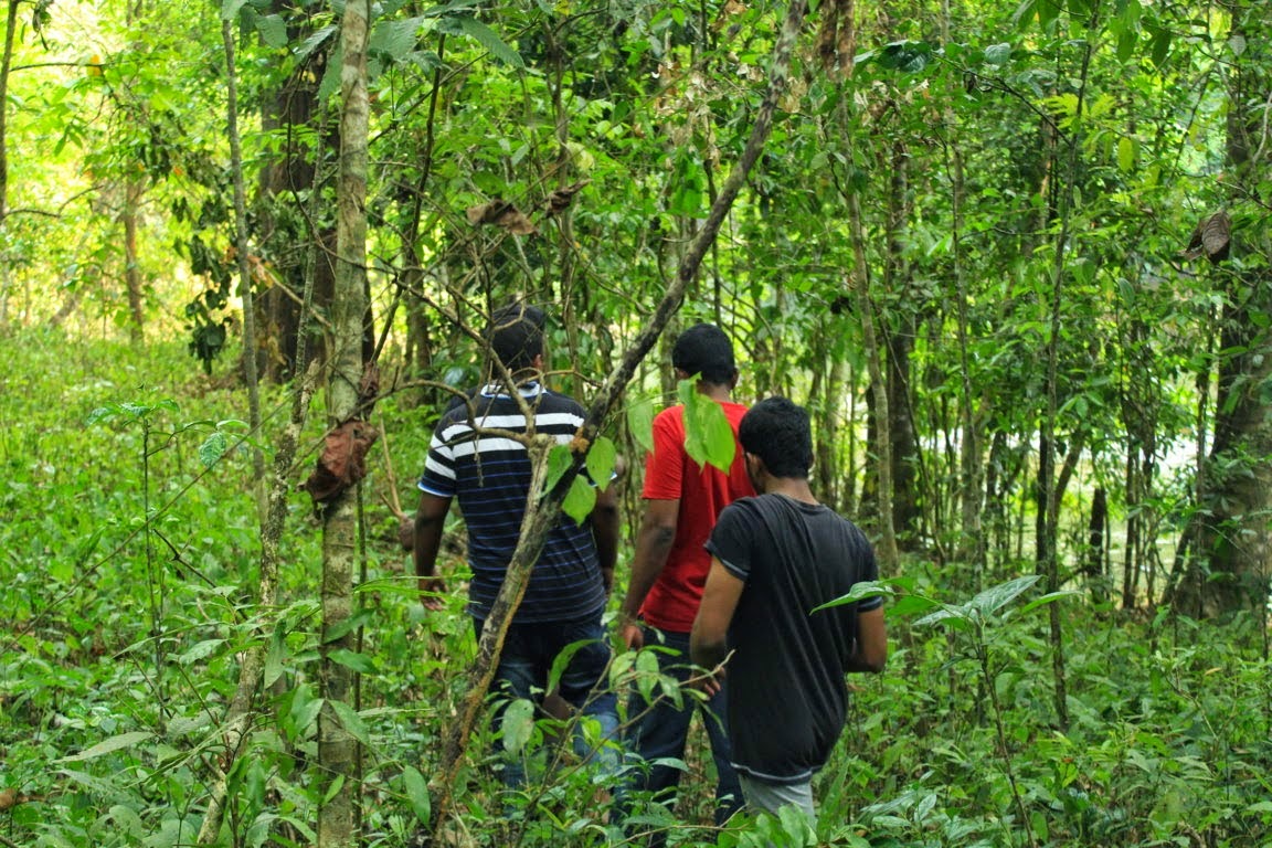 Chennai Hikes: Manampalli forest valparai