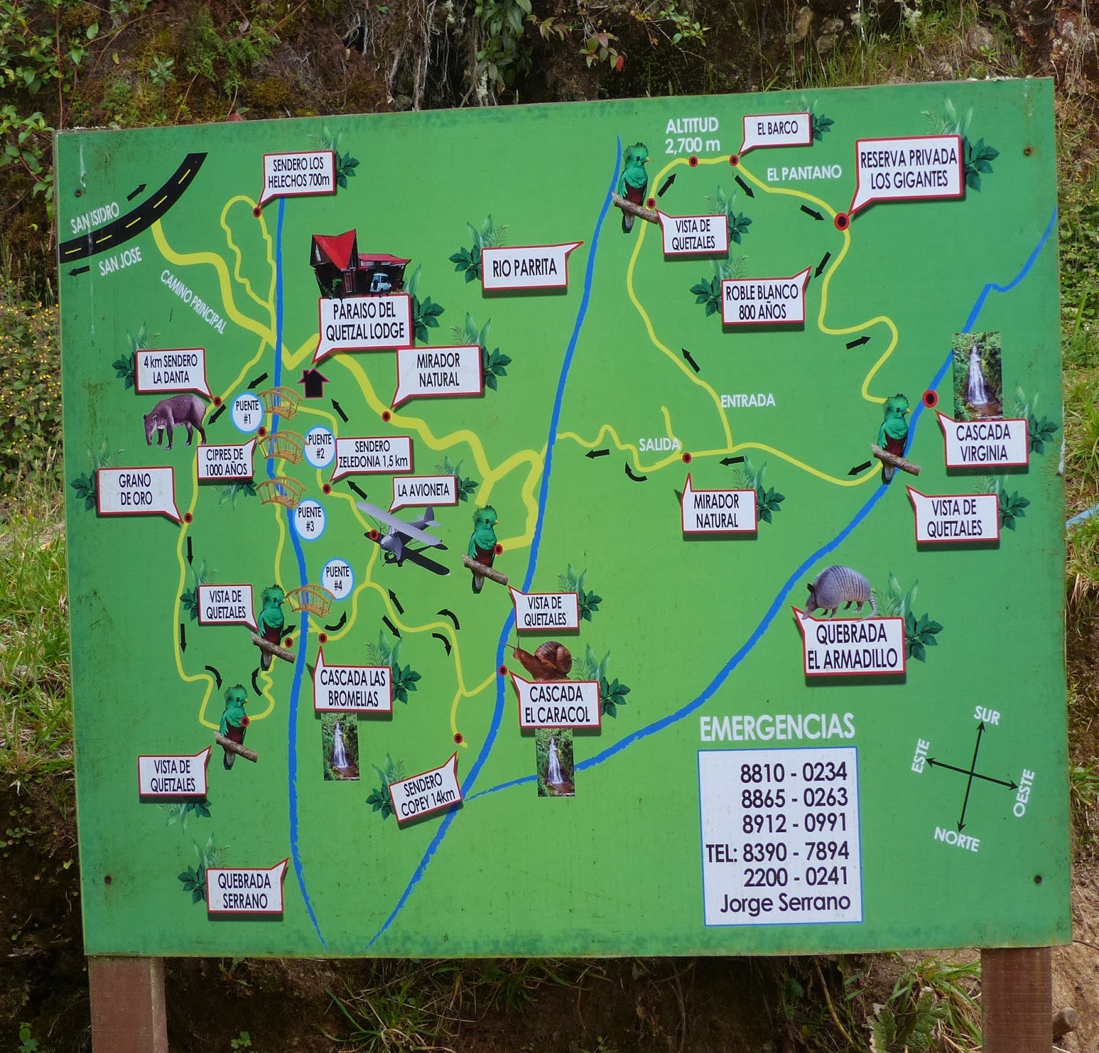Into the Woods and Elsewhere: The highlands and the Resplendent Quetzal