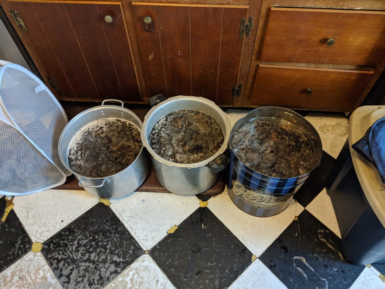 In the Merry Muddy Middle