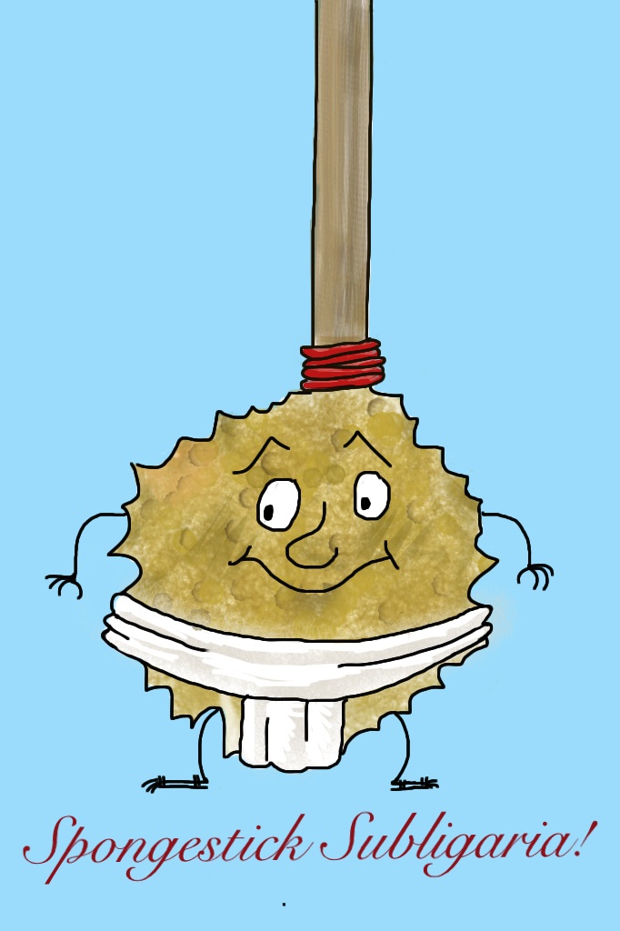 Roman Mysteries & Western Mysteries: So what's with the sponge-stick?