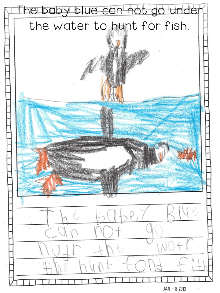 informational writing in kindergarten with student samples