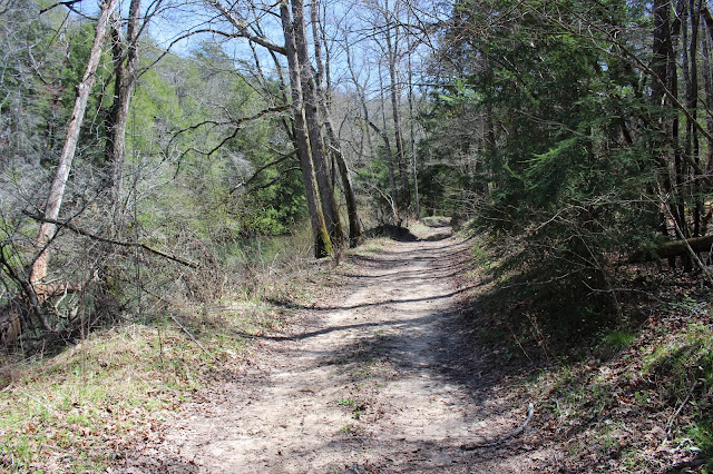 Cumberland Gal: Last Day of Camping at Davy Crockett Campground ...