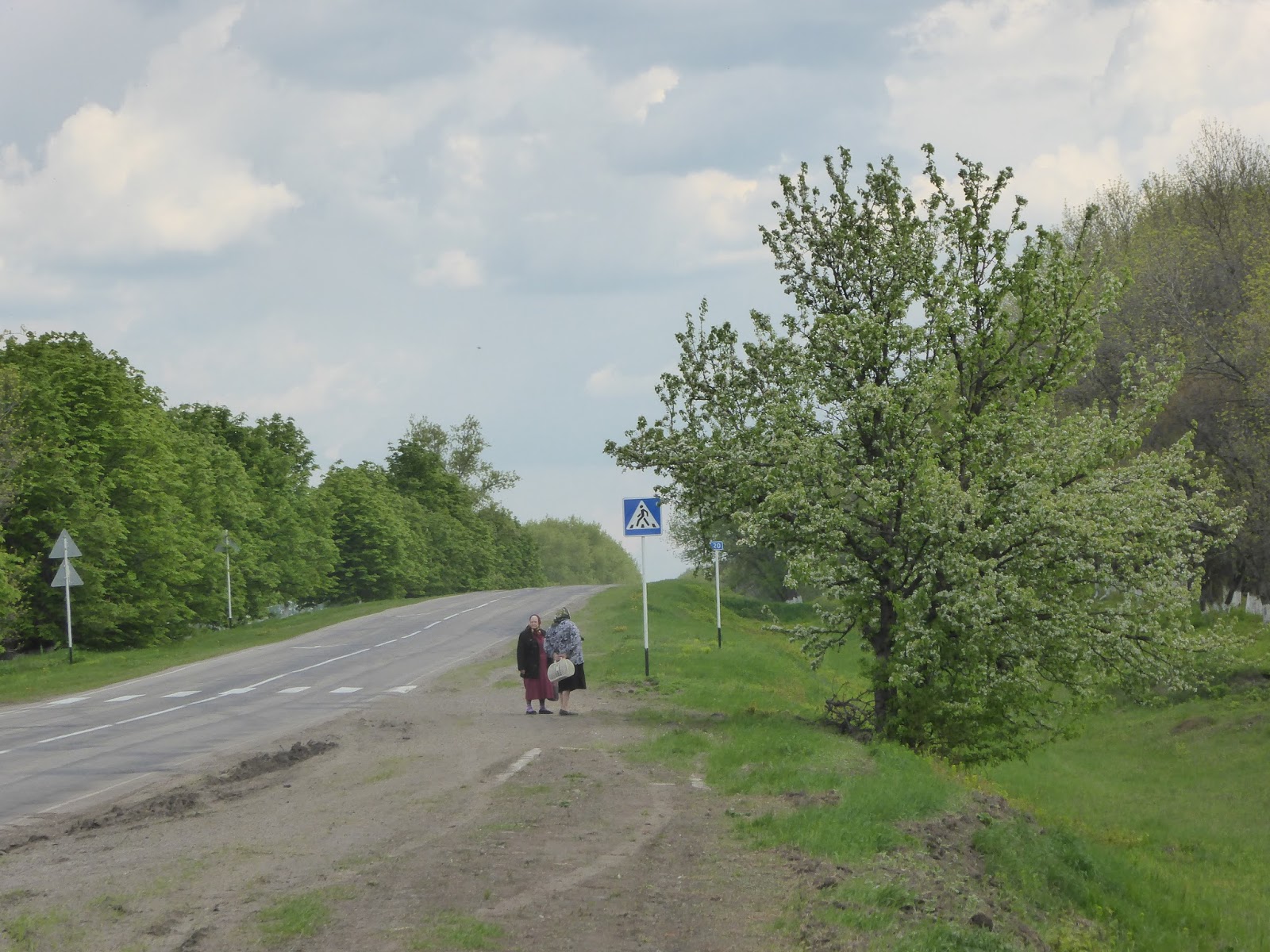 Walking the Battlefields: The Tank Battle at Prokhorovka (12th July, 1943)