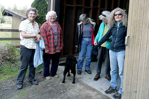 flax to linen victoria bc: Retting