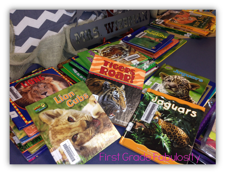 First Grade Fabulosity