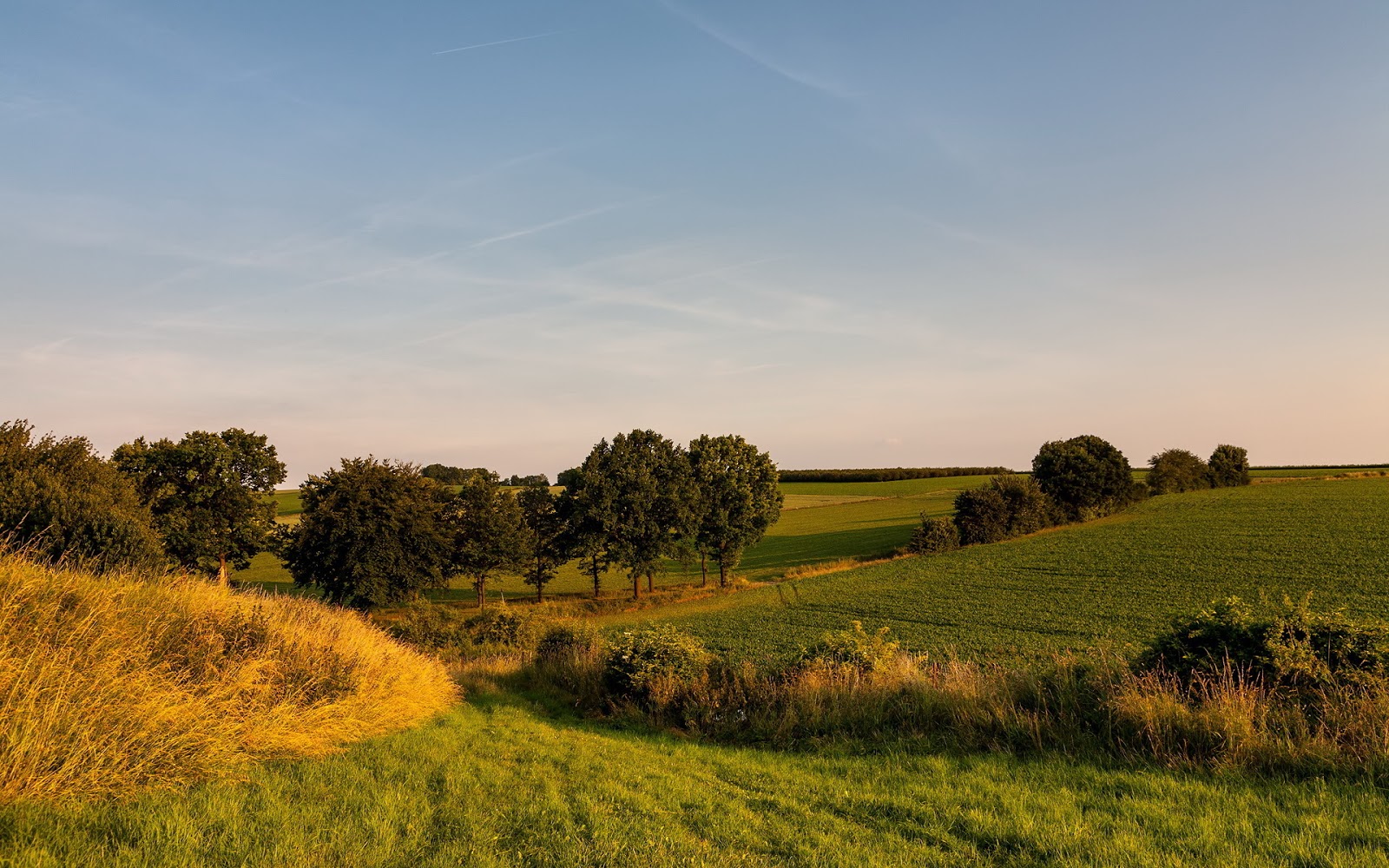 Fondo de Pantalla Paisaje Campo verde | Fondo Pantalla Online