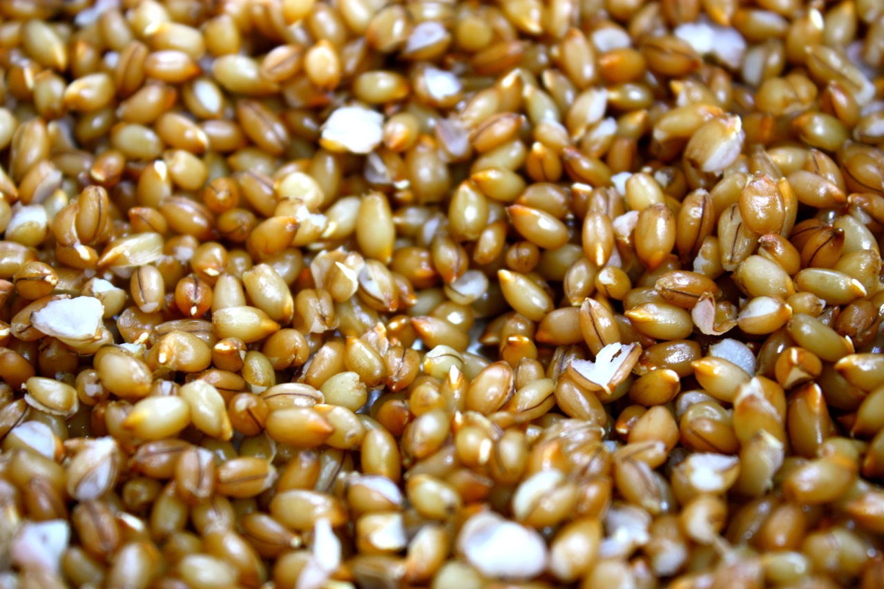 My Own Private Kitchen: Spring Vegetable and Rye Berry Salad