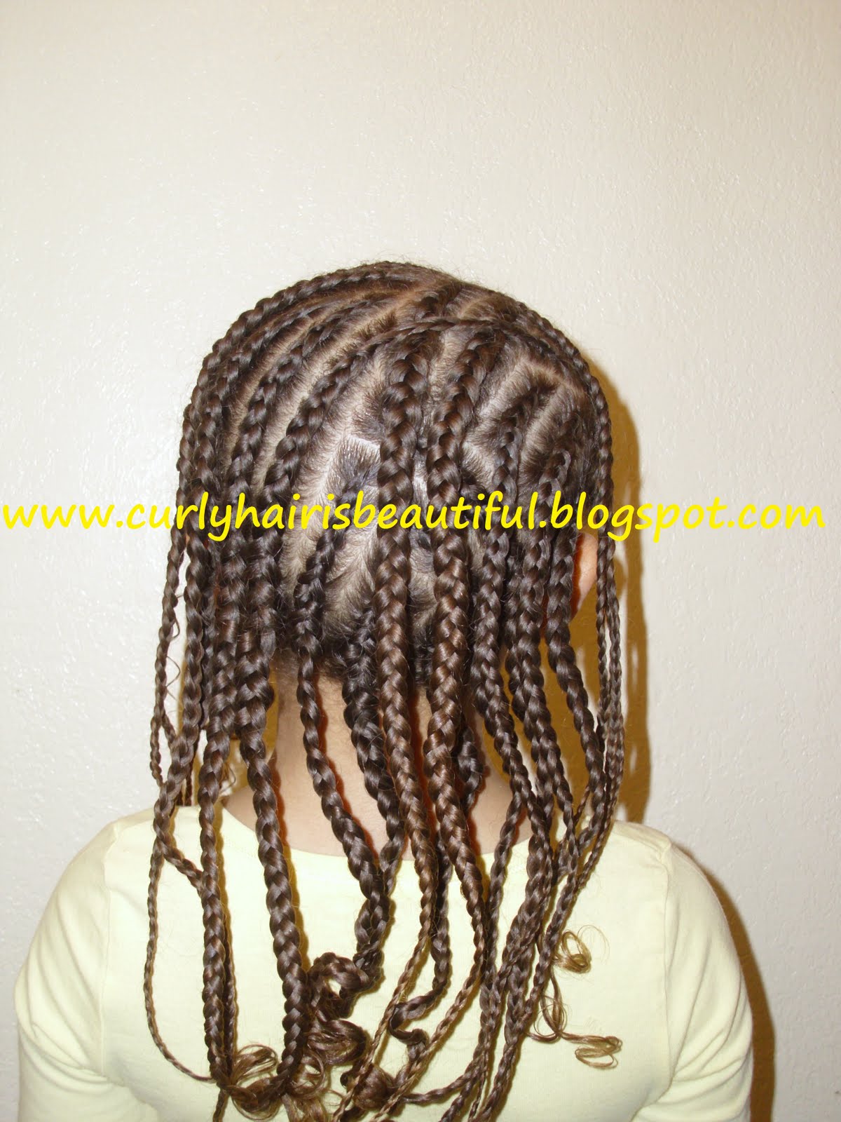 Curly Hair Is Beautiful!: Random Braids