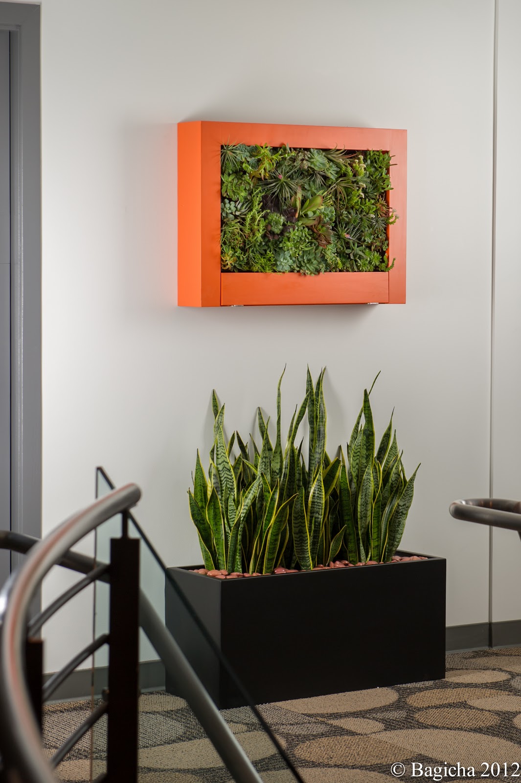 Bagicha ...Garden and Flora Design