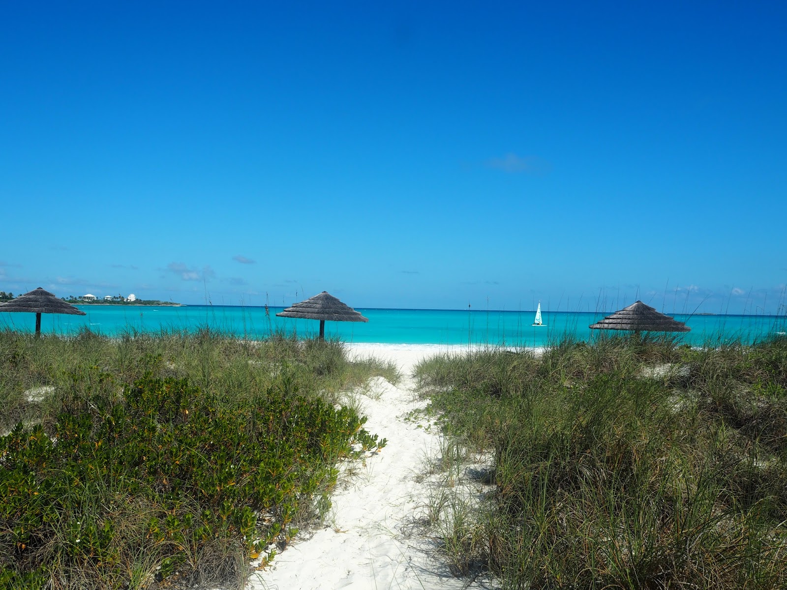 Travel - Emerald Bay, The Bahamas - Roses and Rolltops