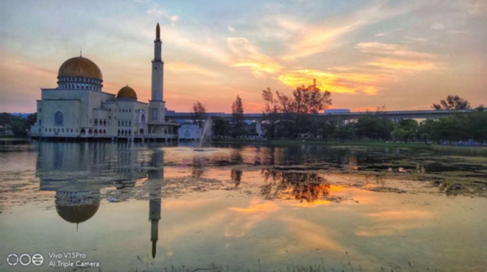 V15PRO'S AL TRIPLE CAMERA EXPLORED : FLAWLESS PICTURES MADE FUN AND ...