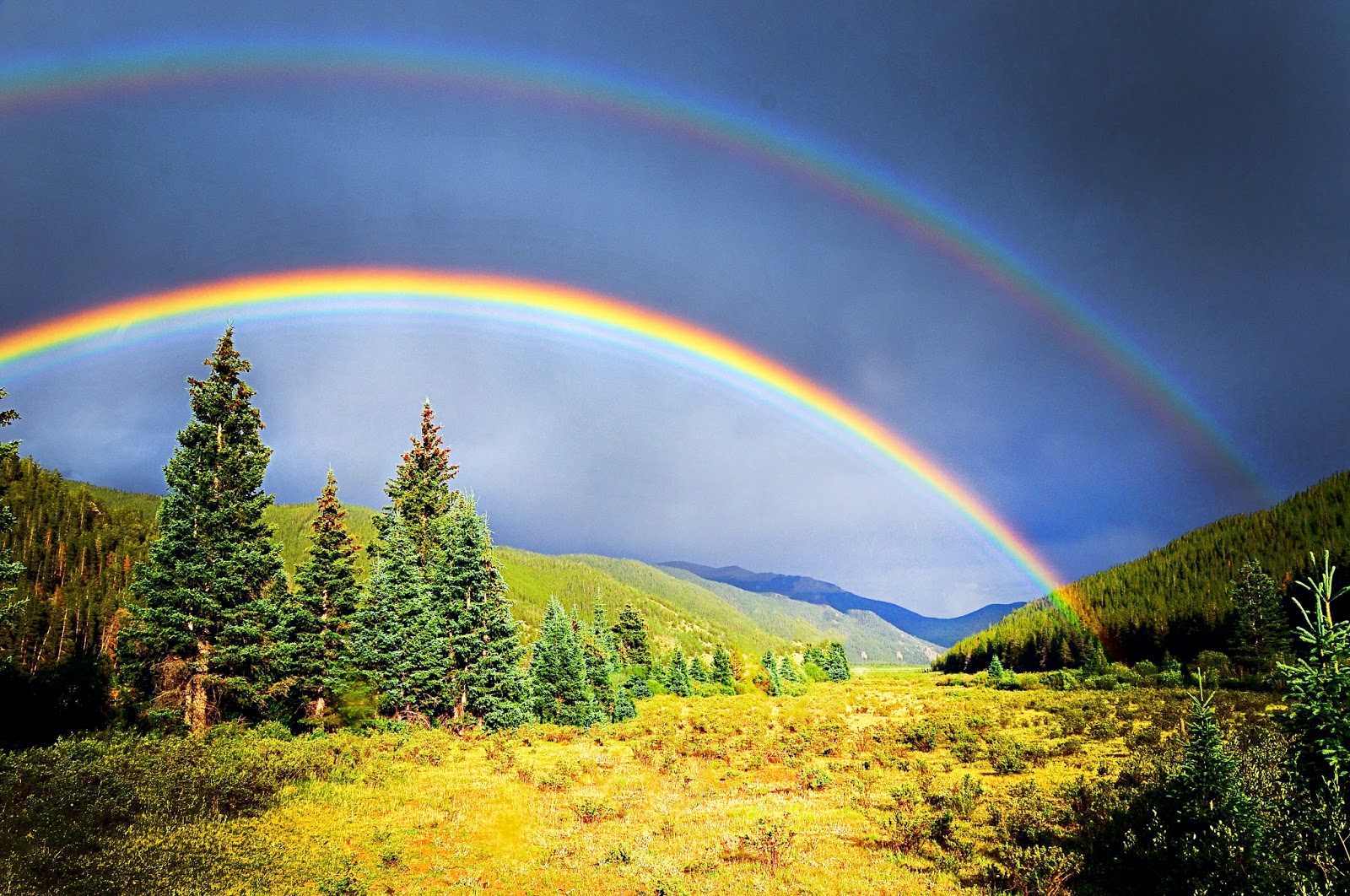 pictuREflection: Rainbow after the Rain