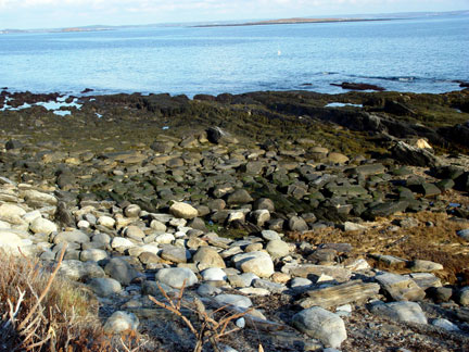 Penobscot Bay Blog: Penobscot Bay's (and Maine's) intertidal ecosystems ...