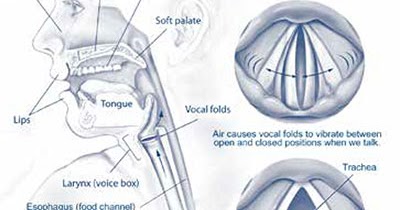 London Still: Ask Al: Vocal Health Part 1: PROTECTION