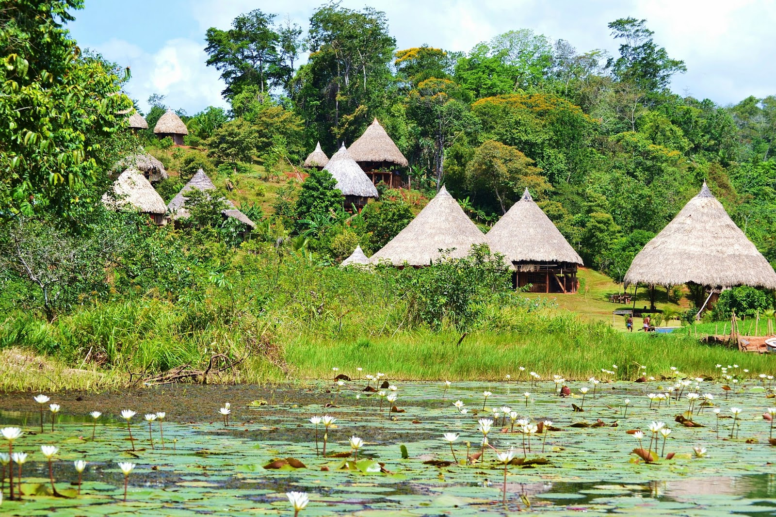 Travel in the nature: Embera Quera village Panama