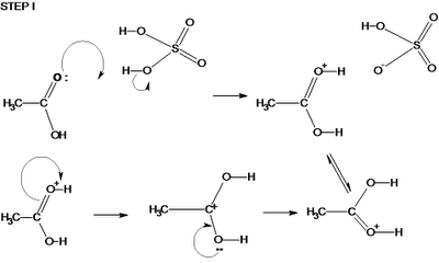 Esterifikasi - Wikipedia bahasa Indonesia, ensiklopedia bebas