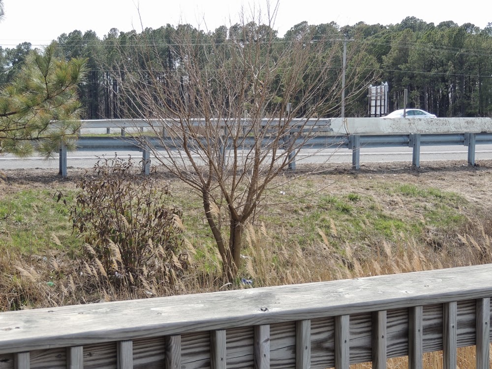 HoCo Connect: Kent Island Cross Island Bike Trail