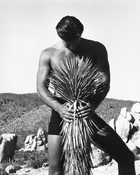 Los Grandes Fotografos: Kurt Markus (1947)