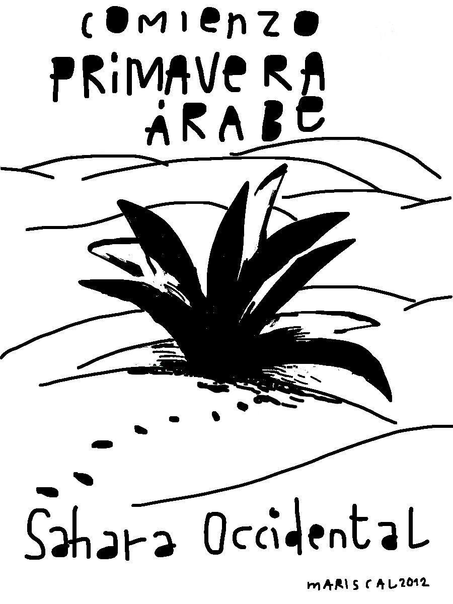 Comienzo Primavera Árabe: Sahara Occidental Start Arabic Spring ...