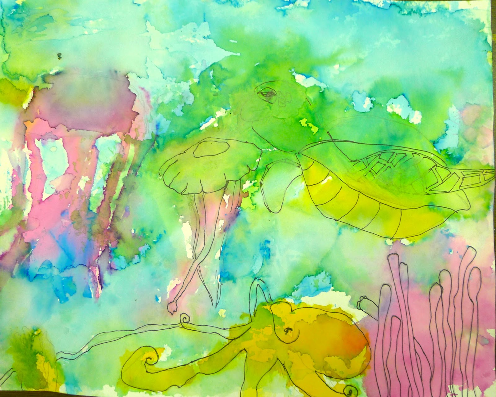 Amanda Caucci Art Instructor: Freshman Coral Reef collages