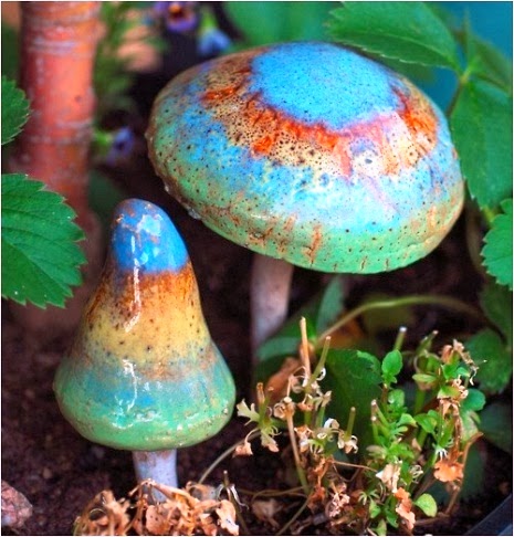 Hongos exóticos # 2