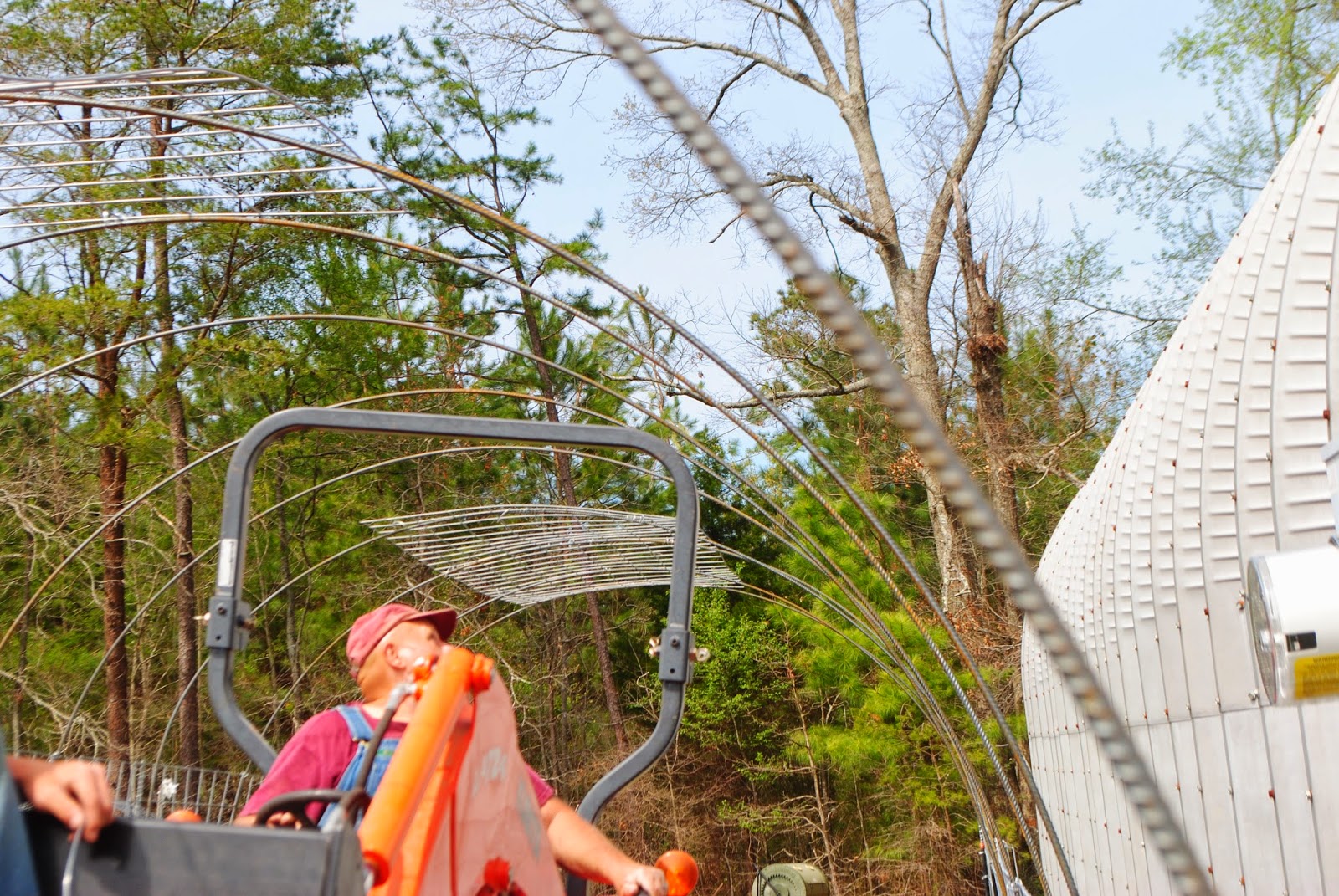 Adventures on Zephyr Hill Farm: DIY Rebar Grape Arbor