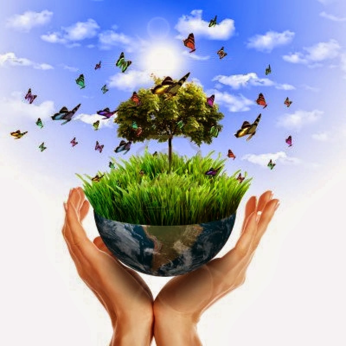 El Cuidado Del Medio Ambiente