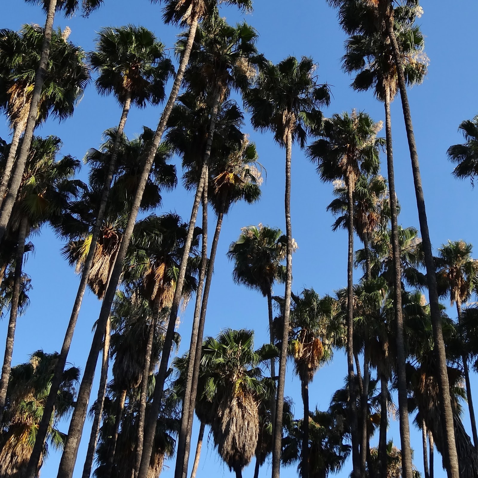 More to Explore: Riverside: Fairmount Park on the 4th