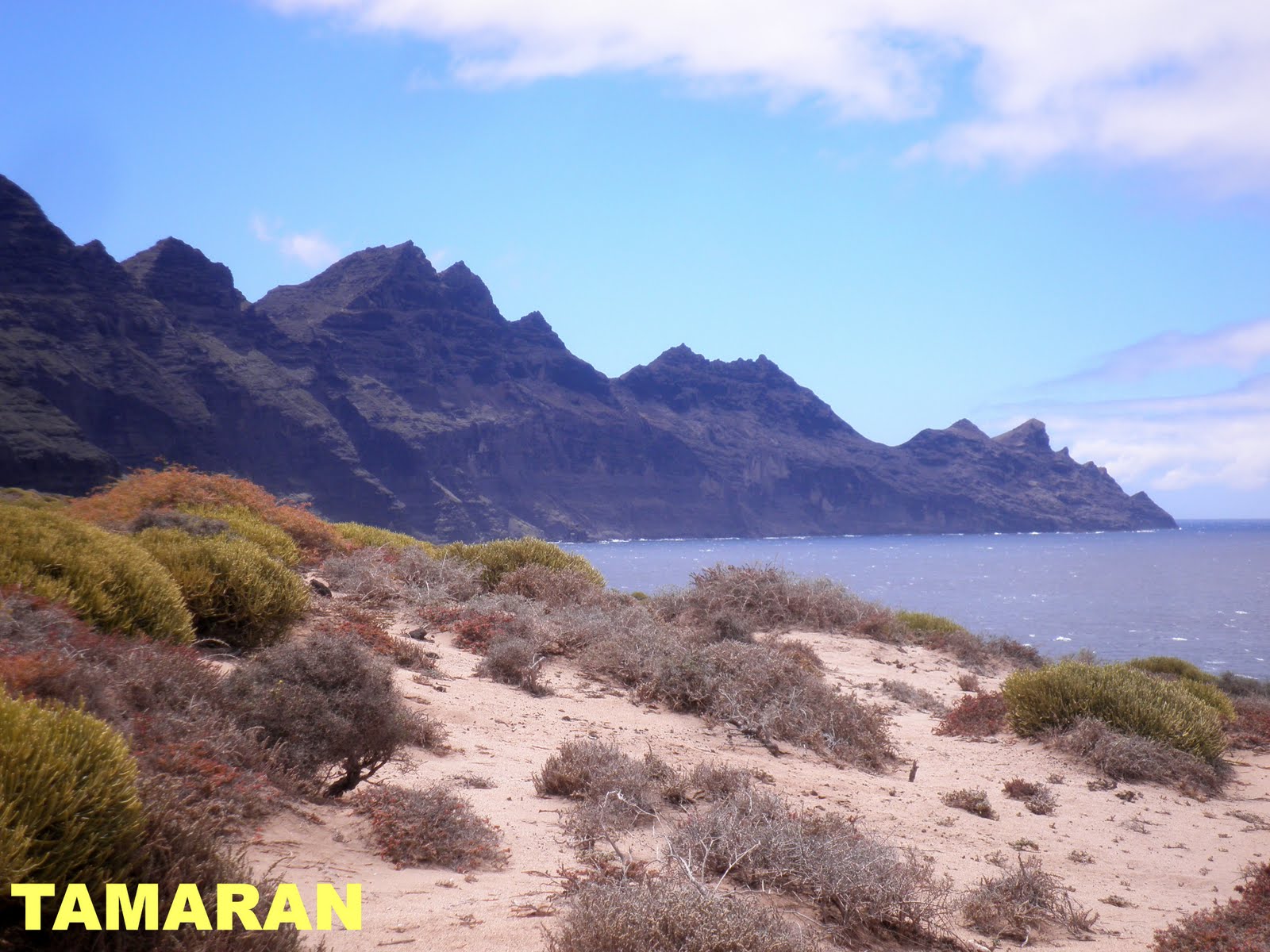TAMARAN: ARTENARA DE TAMARAN FORMACIONES GEOLOGICAS PLAYAS VIRGENES