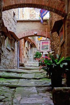 Writing with Amy Keesling: 2016