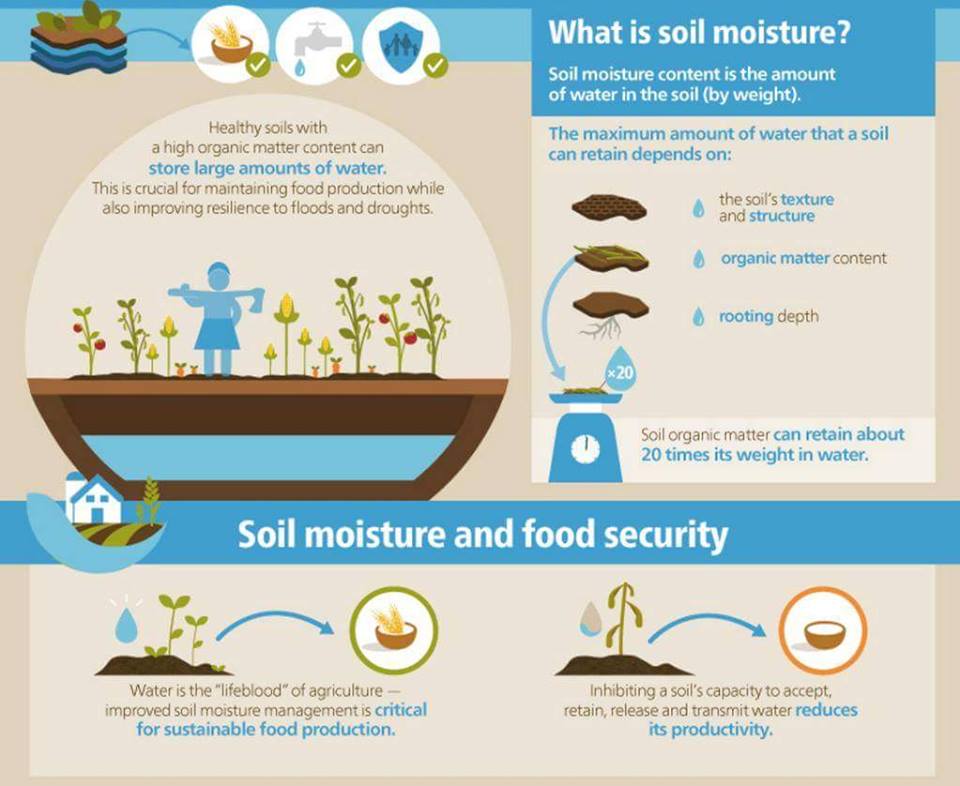 What is Soil Moisture