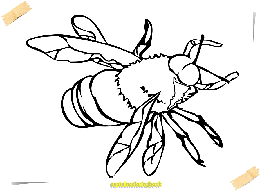 Coloring book pdf download