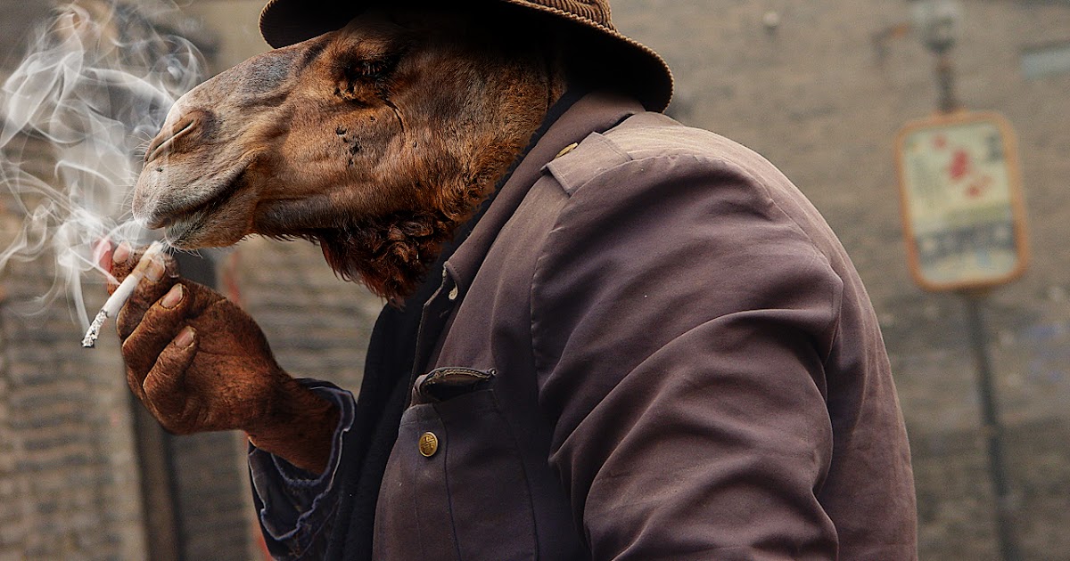 Linda Grimes: Visiting Reality : Vice Redux (Complete with wacky camel ...