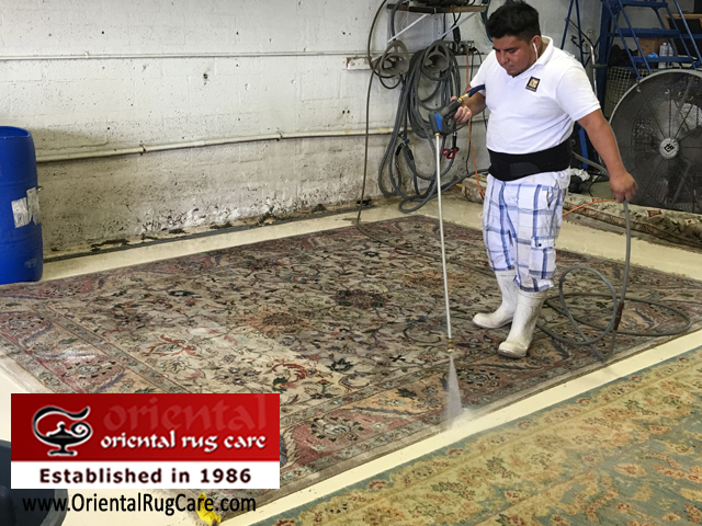 Oriental Rug Cleaning