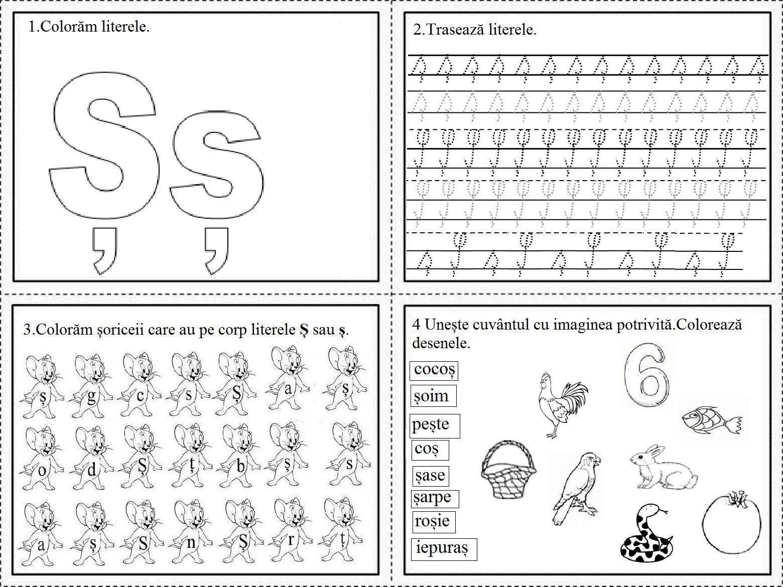 EDUCATIA CONTEAZA : Literele R, S, Ș