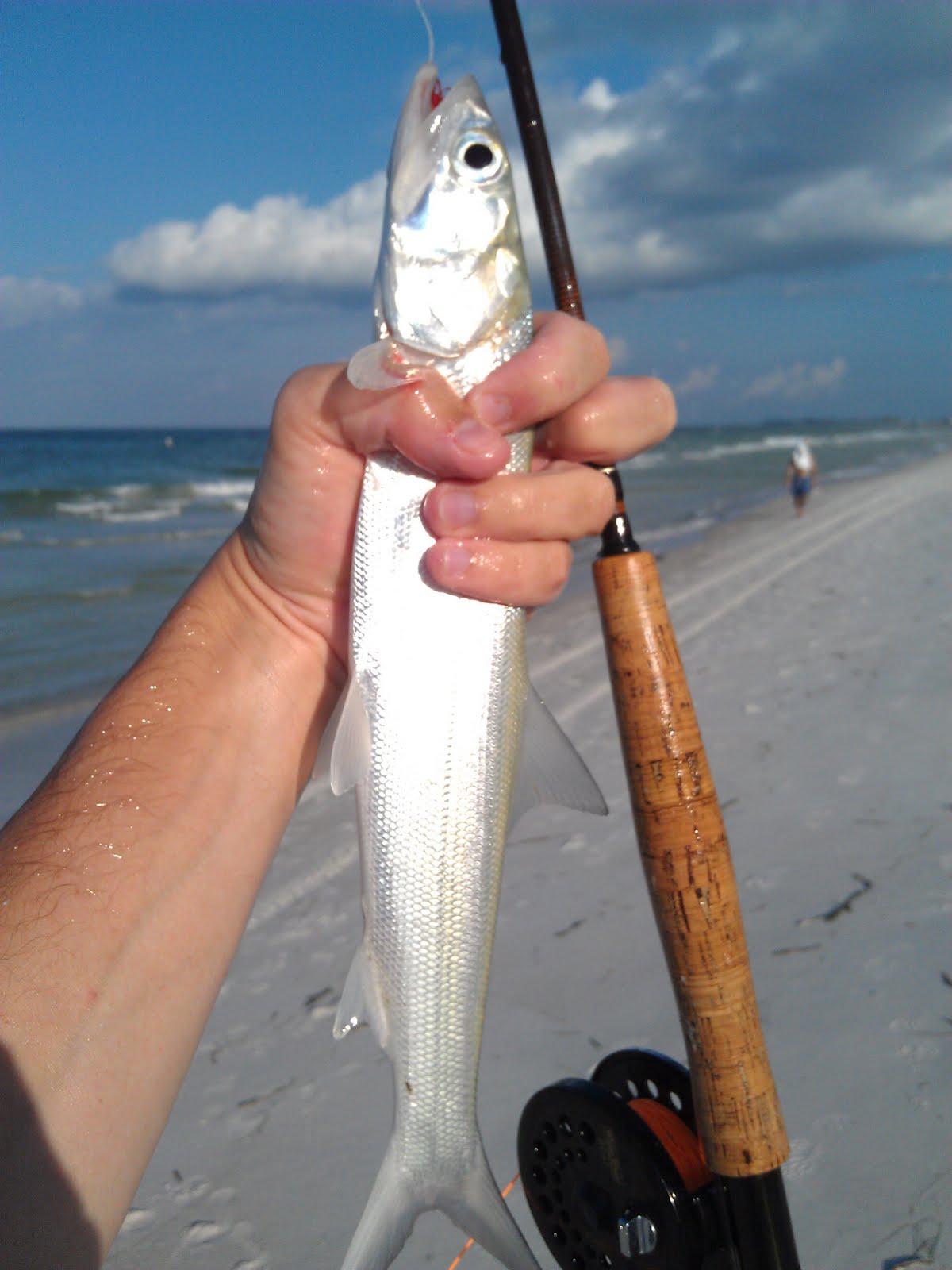 A Year On The Fly: More Florida Surf Fishing