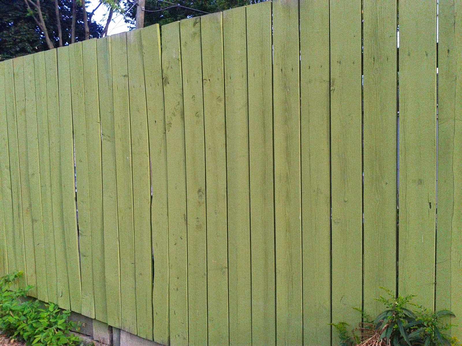 Toronto things: Stock photo: Light green wood fence