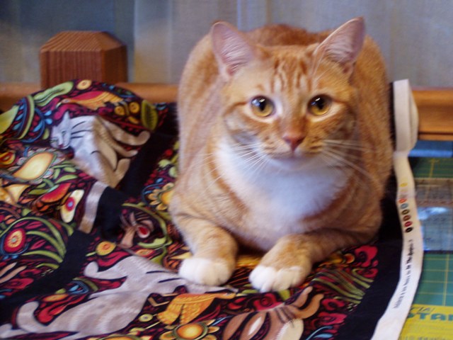 A Tale of Two Quilters: Folklorica Quilt