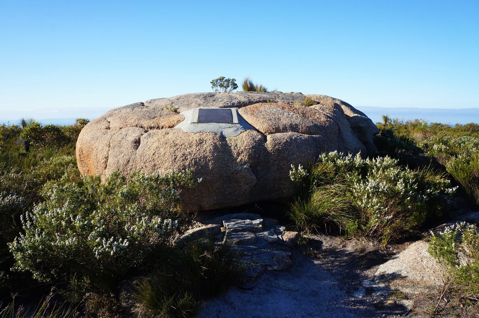Mt Lindesay Walk Trail (Mt Lindesay National Park) ~ The Long Way's Better