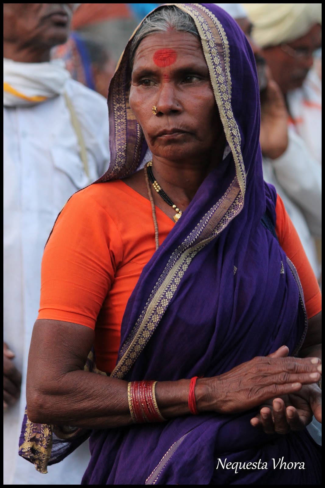 Wondering Wanderer: Waari: Facts and Fotos