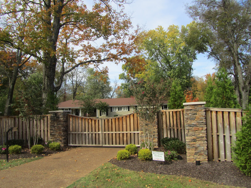 Life, Love, and Children: Nashville, TN