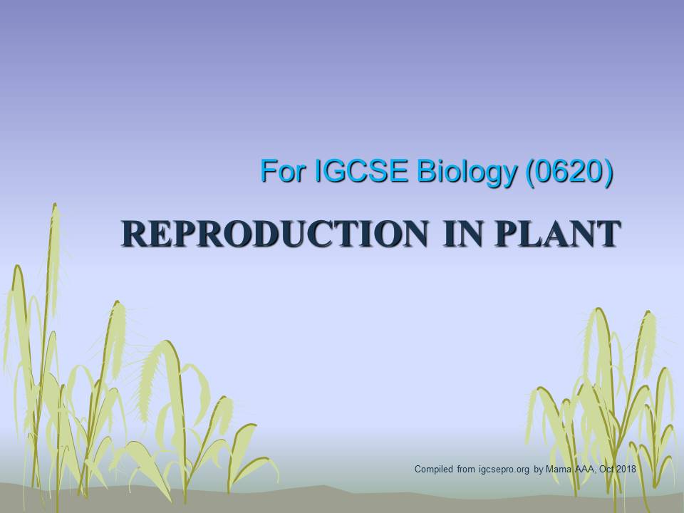 Education Made Fun: IGCSE Biology: Reproduction in Plant